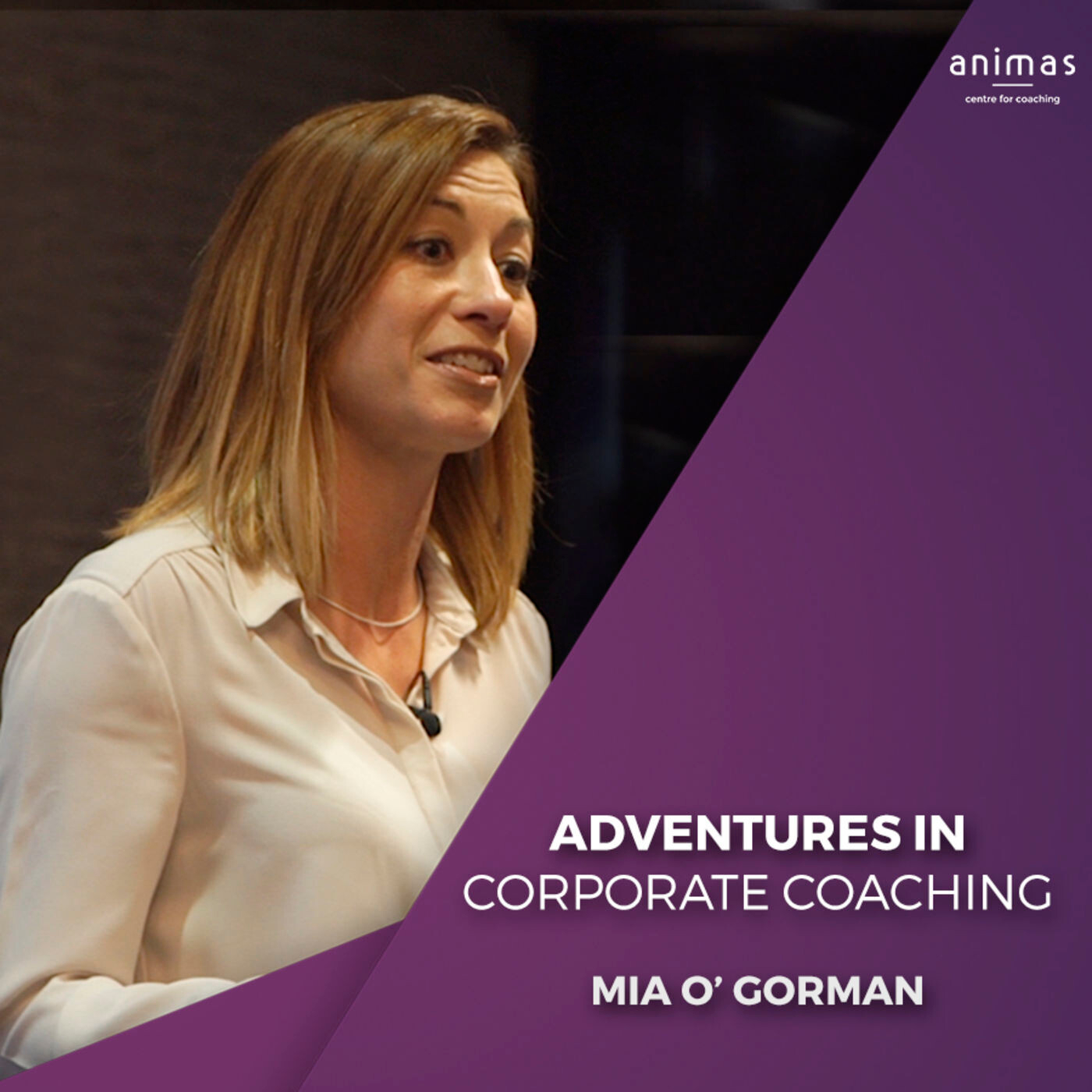 Adventures in Corporate Coaching - Mia O'Gorman - Animas Coaching