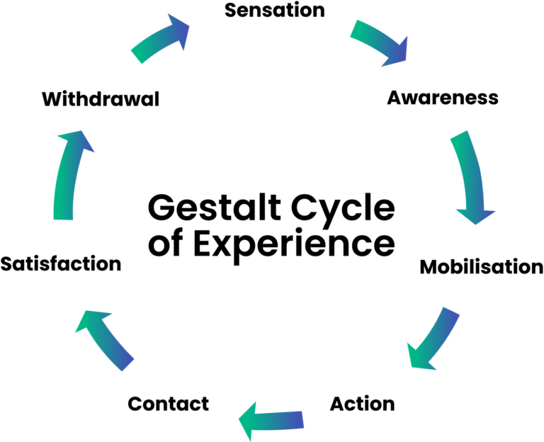 The Gestalt Cycle of Experience: An Emergent Approach to Change in ...