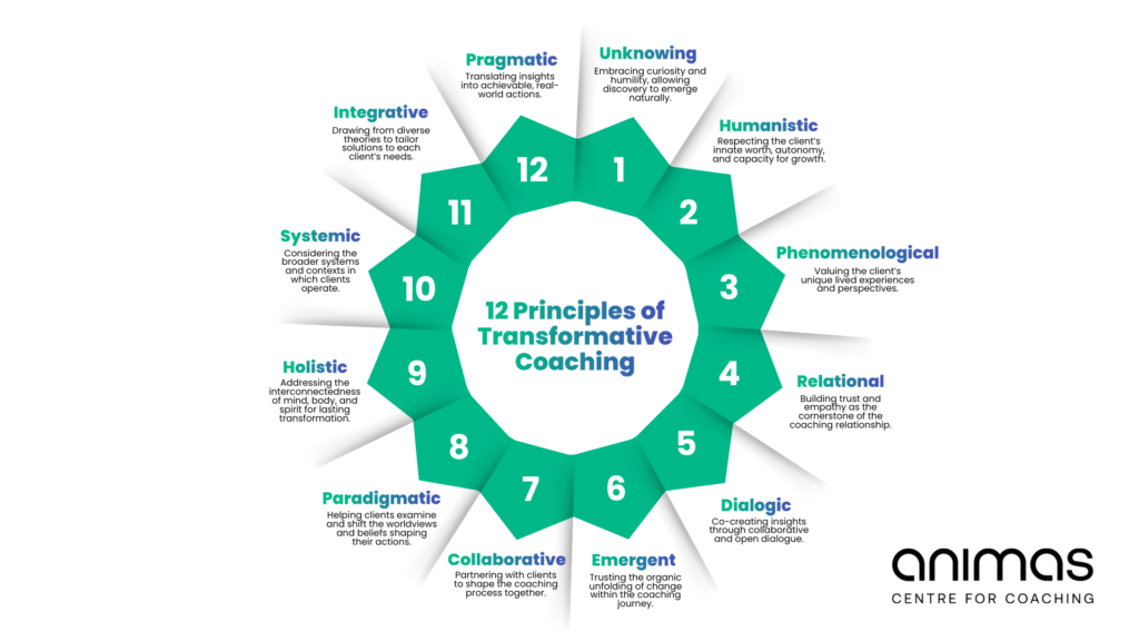 The 12 Principles of Transformative Coaching: Embracing the Complexity ...